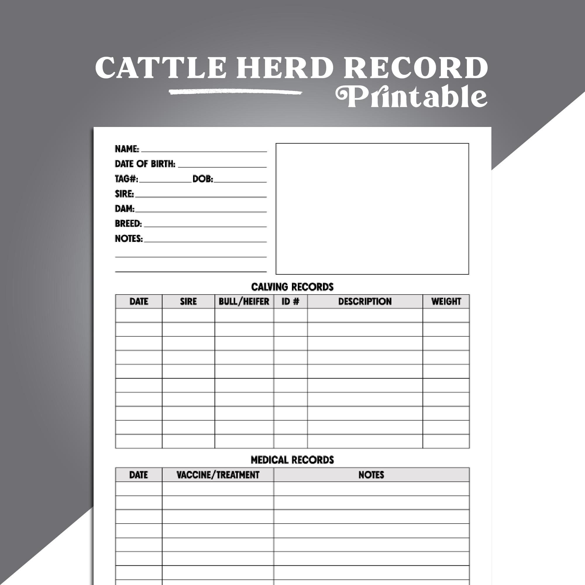 Cattle Herd Record Sheet, Printable Cattle Records Page, Homestead Cattle Care Tracker Sheet ...
