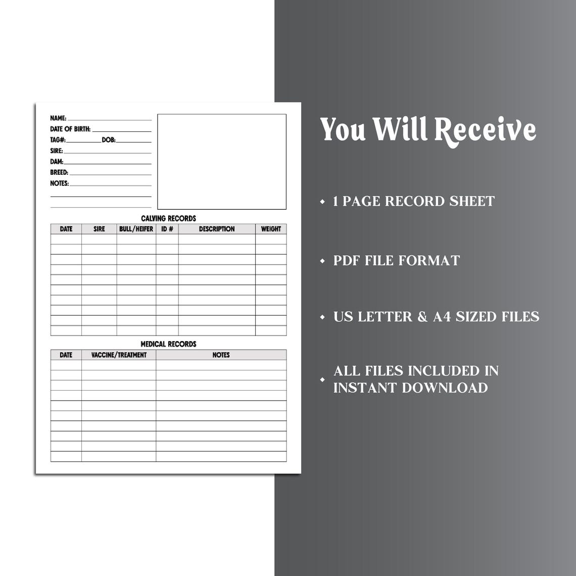 Cattle Herd Record Sheet, Printable Cattle Records Page, Homestead ...