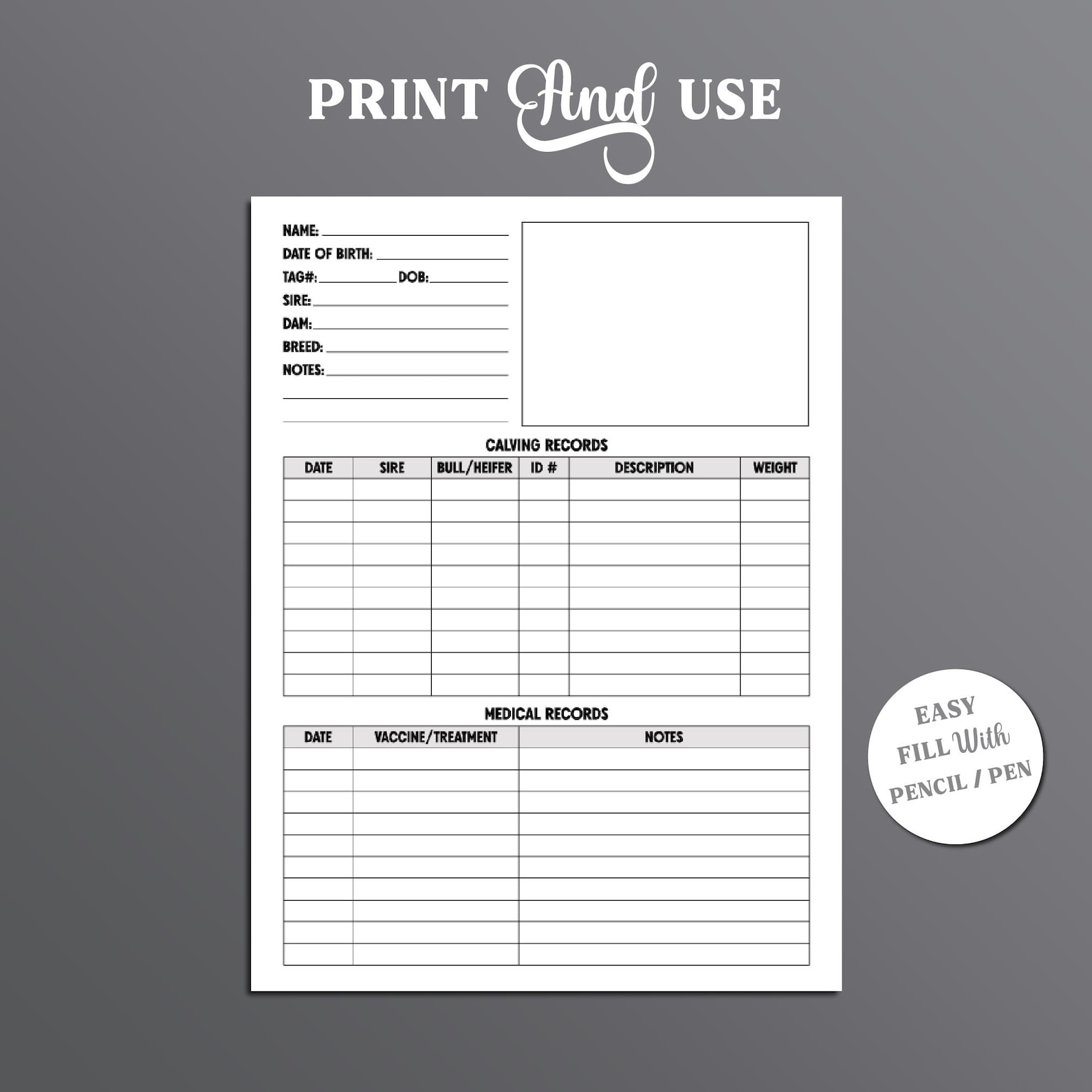 Cattle Herd Record Sheet, Printable Cattle Records Page, Homestead ...