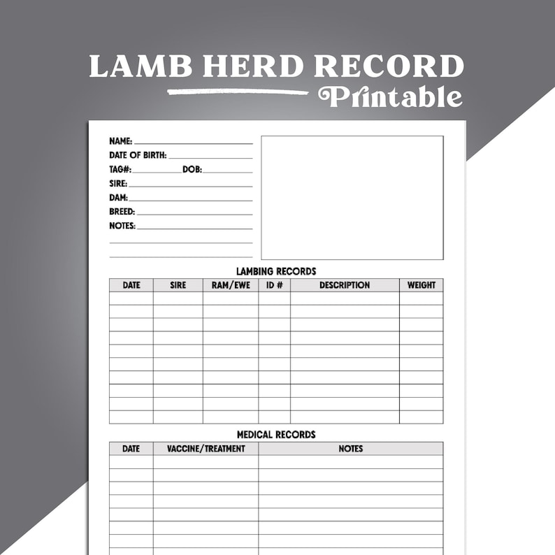 Lamb Herd Record Sheet, Lamb Herd Record Keeping, Farm Management ...