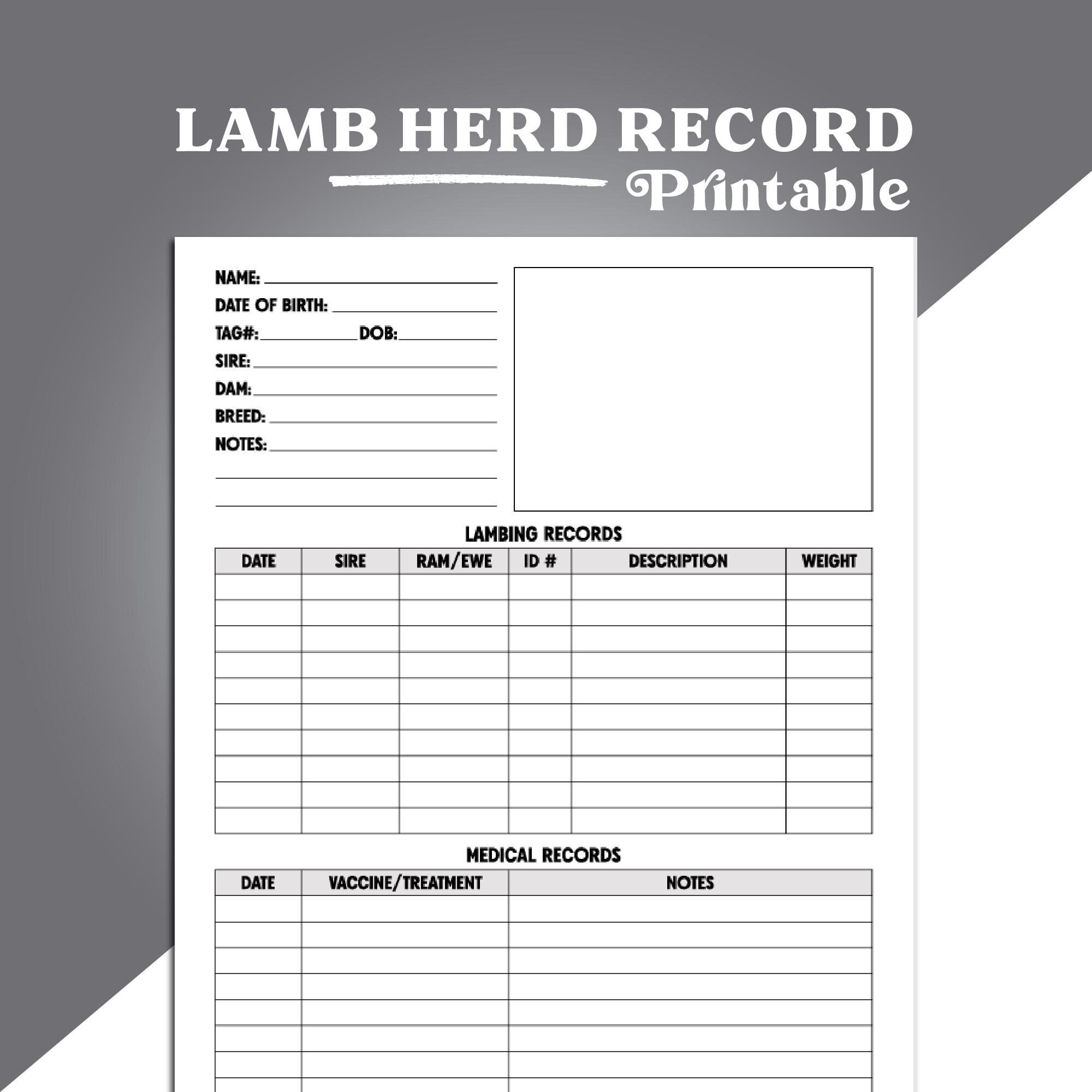Lamb Herd Record Sheet, Lamb Herd Record Keeping, Farm Management ...