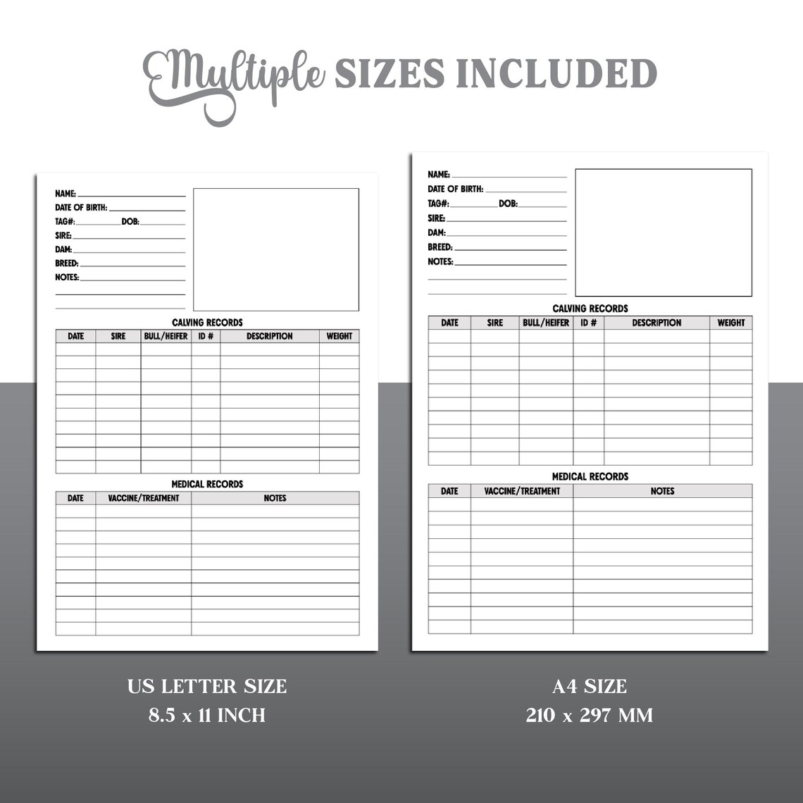 Cattle Herd Record Sheet, Printable Cattle Records Page, Homestead Cattle Care Tracker Sheet ...