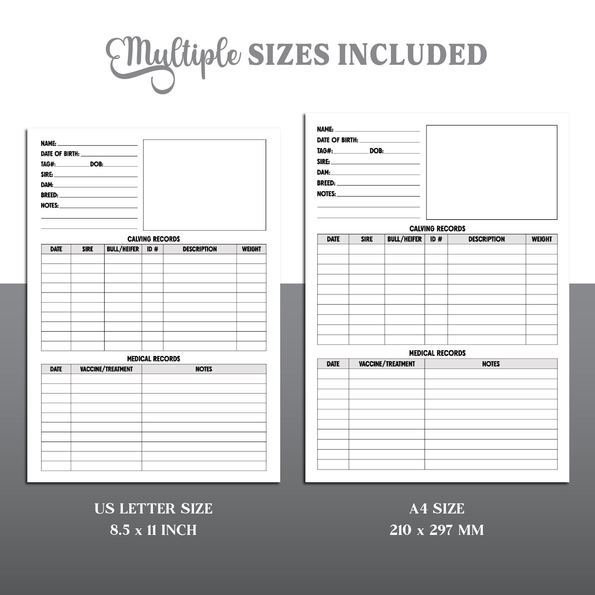 Cattle Herd Record Sheet, Printable Cattle Records Page, Homestead ...