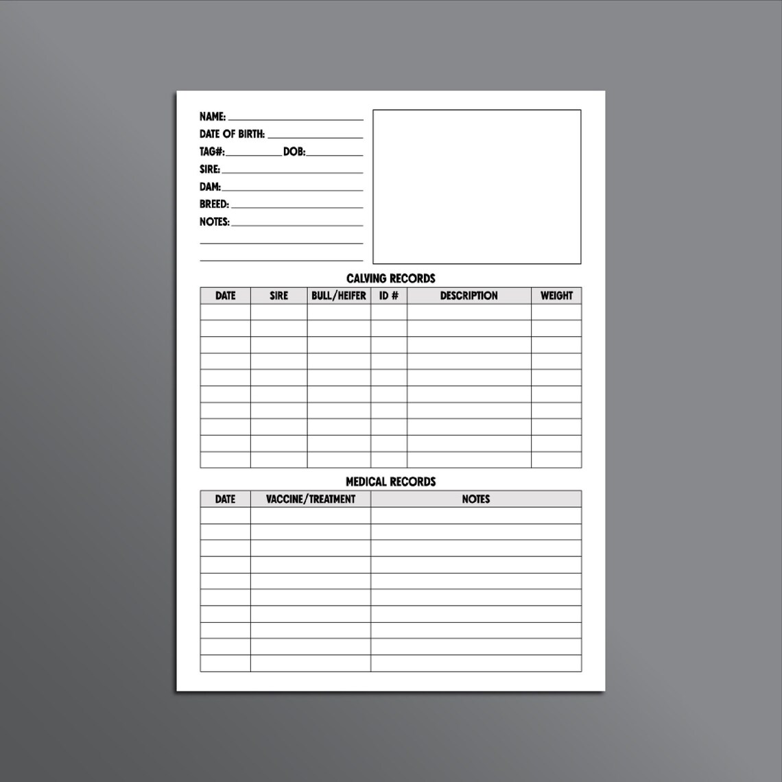 Cattle Herd Record Sheet, Printable Cattle Records Page, Homestead ...