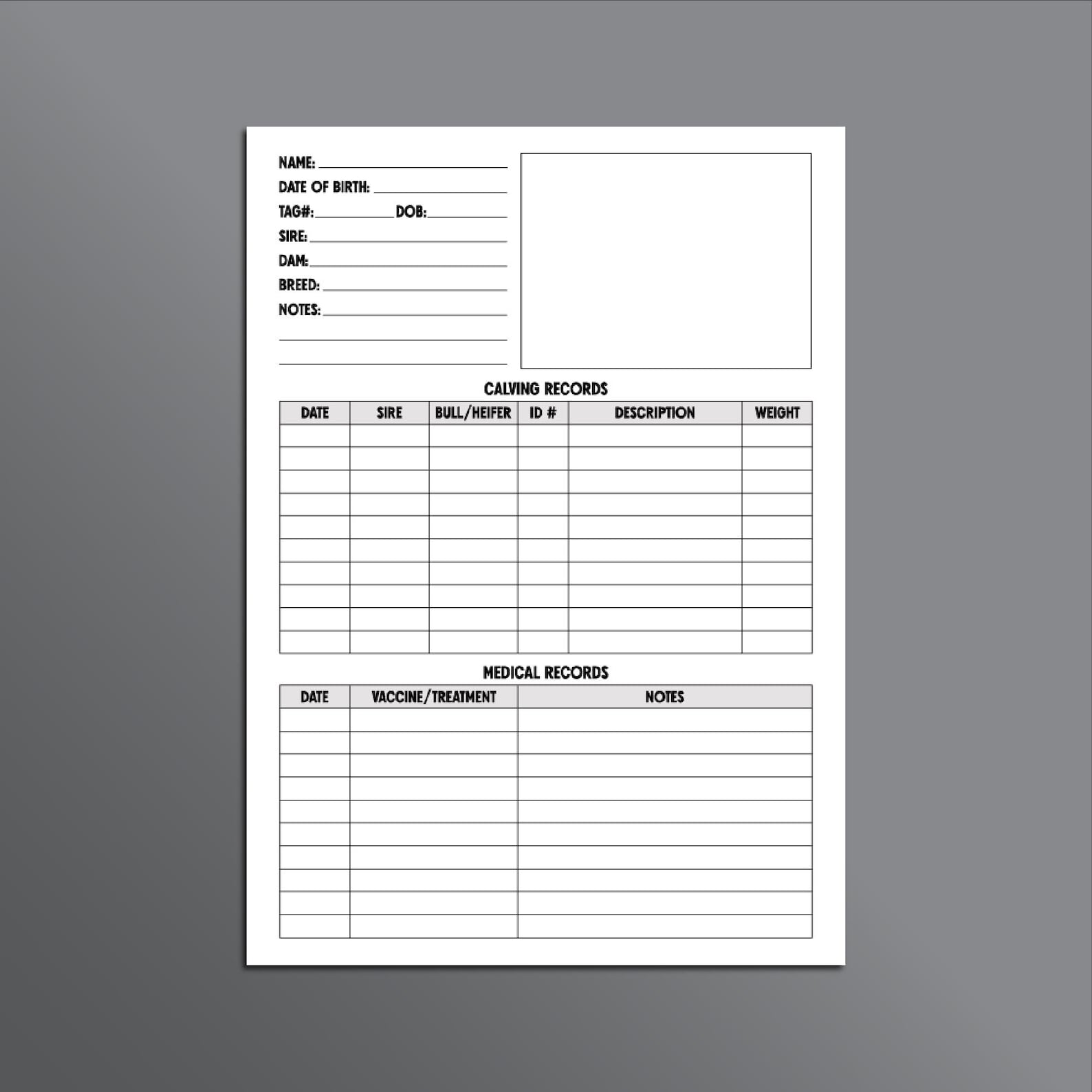 Cattle Herd Record Sheet, Printable Cattle Records Page, Homestead ...