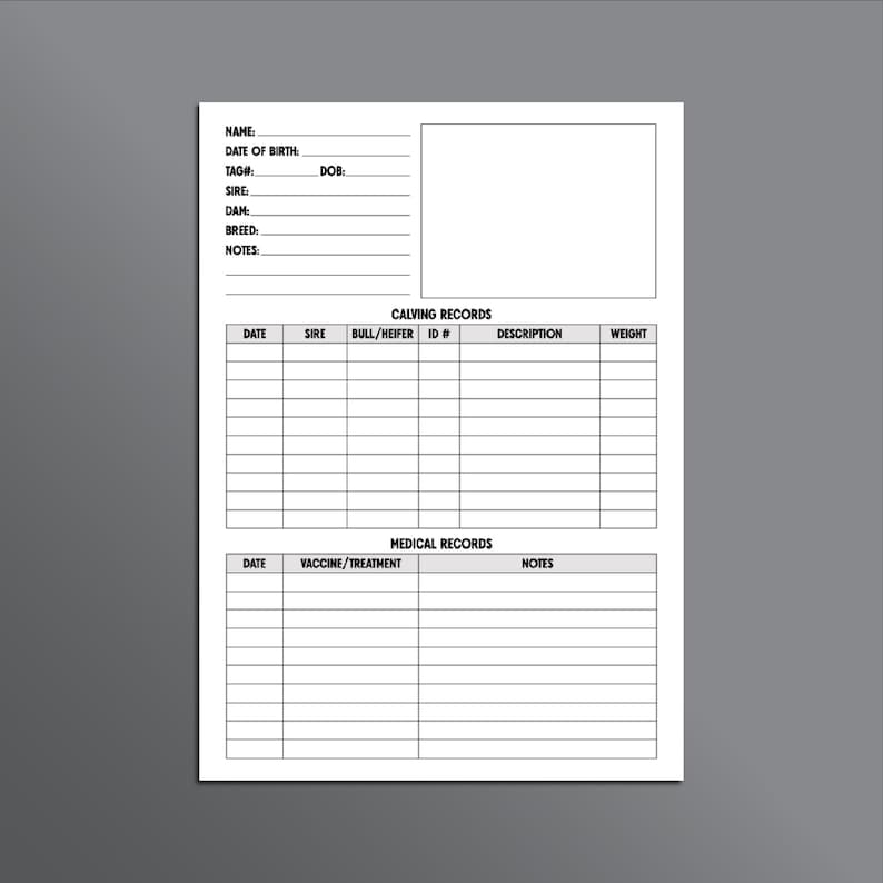 Cattle Herd Record Sheet, Printable Cattle Records Page, Homestead ...