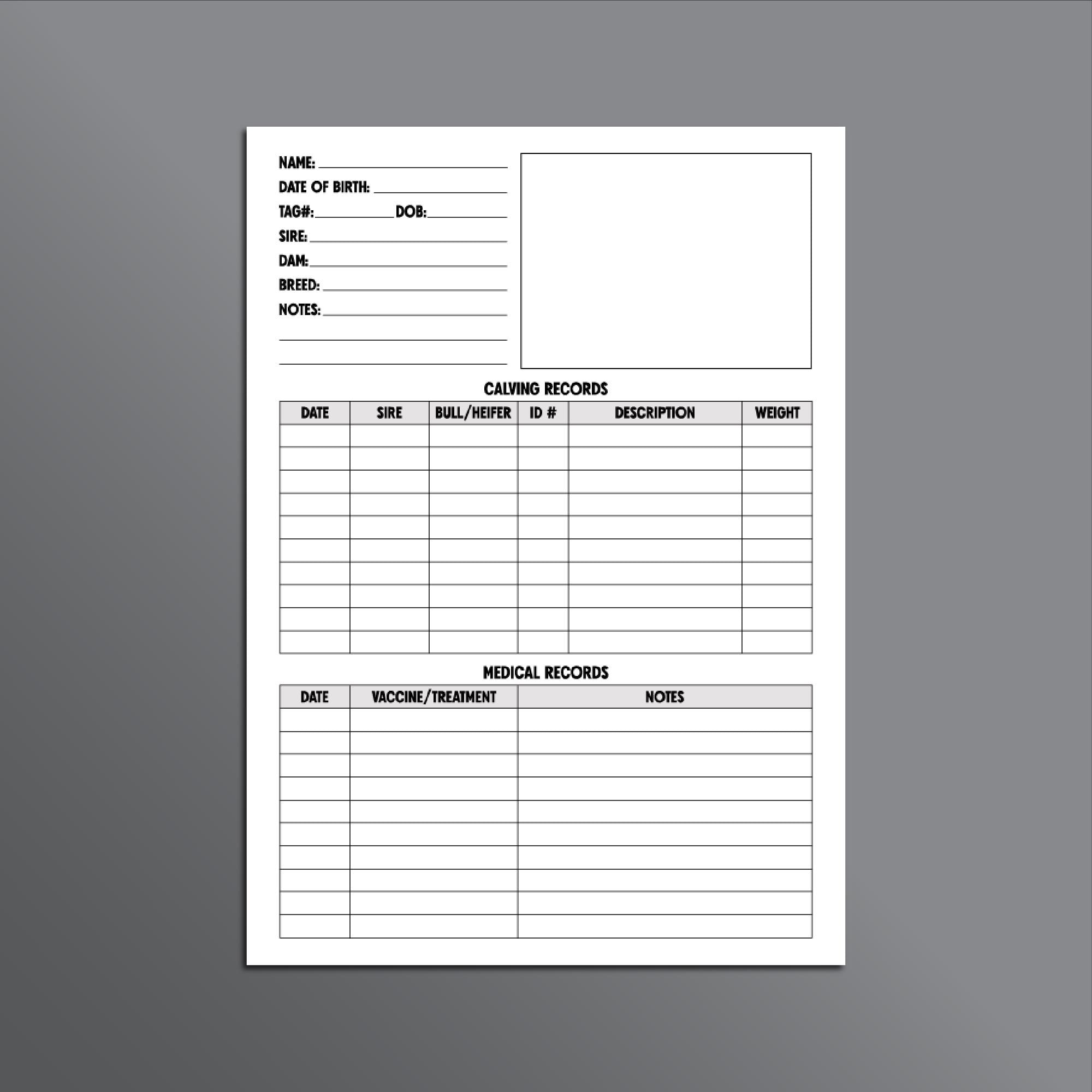Cattle Herd Record Sheet, Printable Cattle Records Page, Homestead ...
