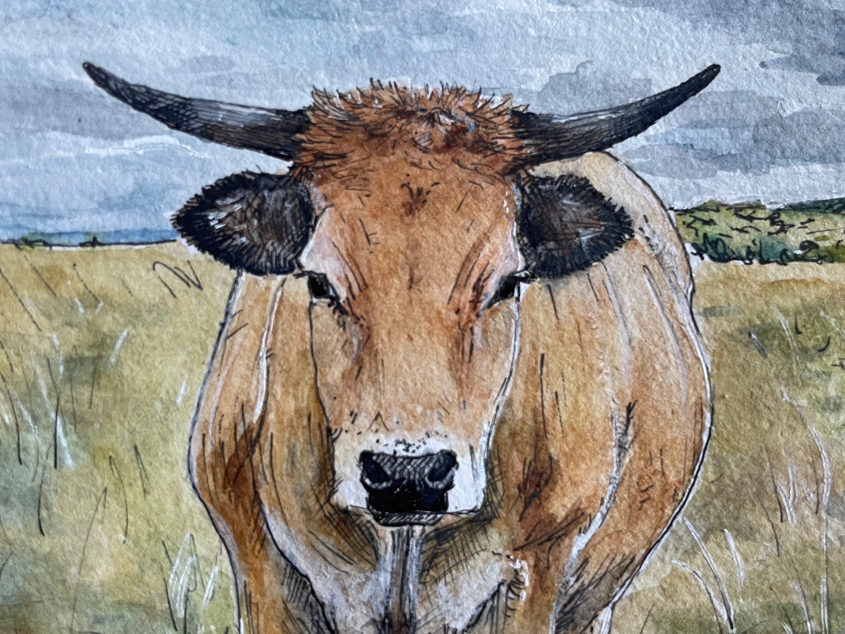 Illustration of an Aubrac Cow Handmade Watercolor Drawing - Etsy
