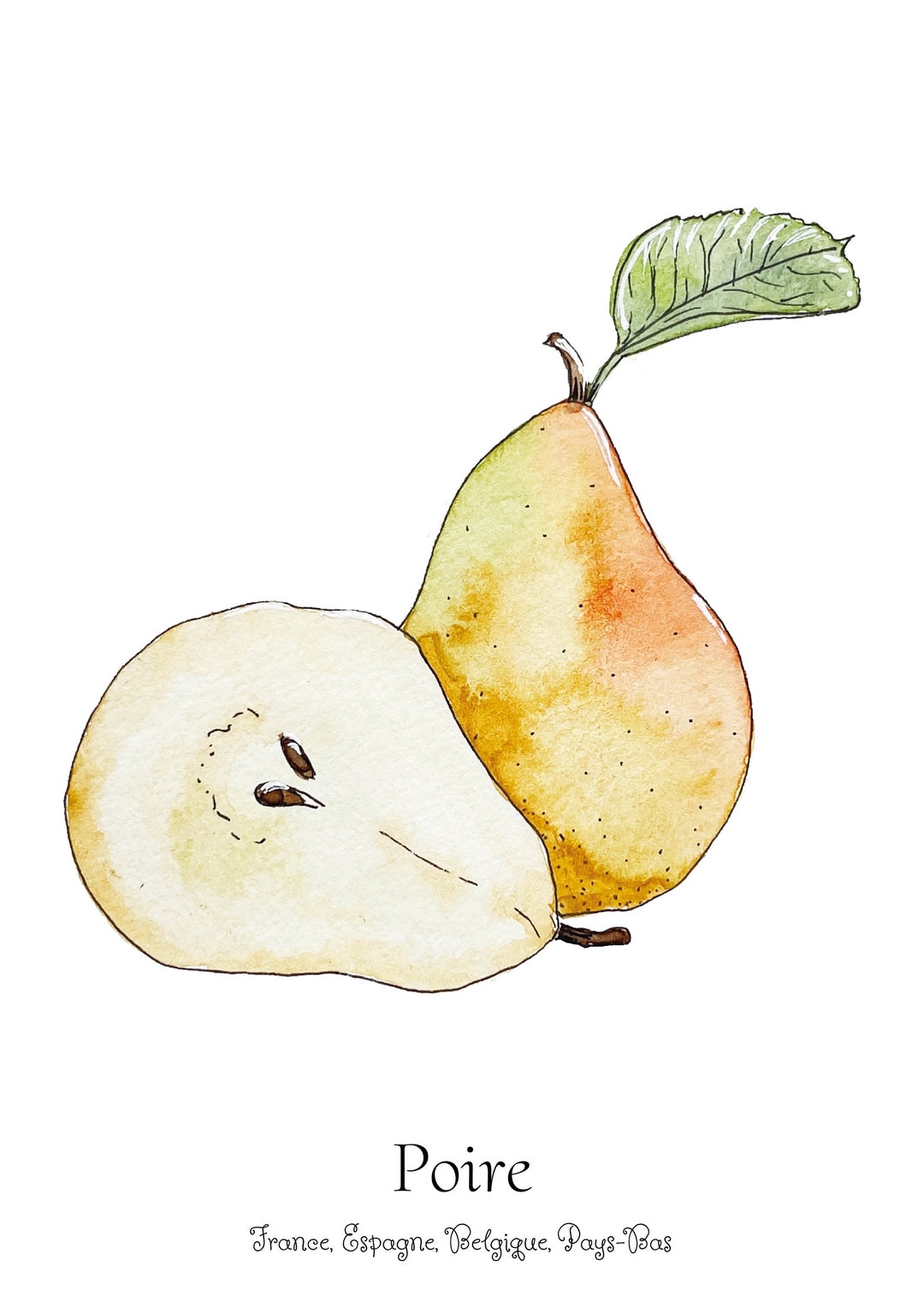 Fruit and Vegetable Cards With Their Provenance Watercolor - Etsy