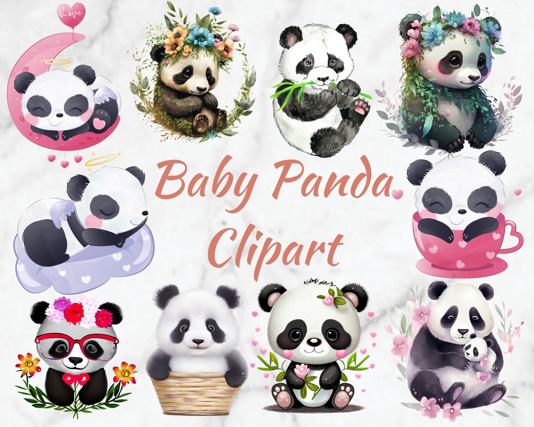 Baby Panda Animal Clipart,10x High Quality Png,watercolor Animal Photos ...