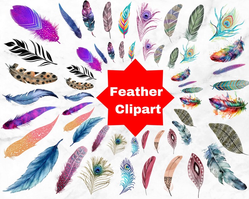 Feather Clipart,colorful Feathers,55 Digital Feather Png,boho Colorful ...