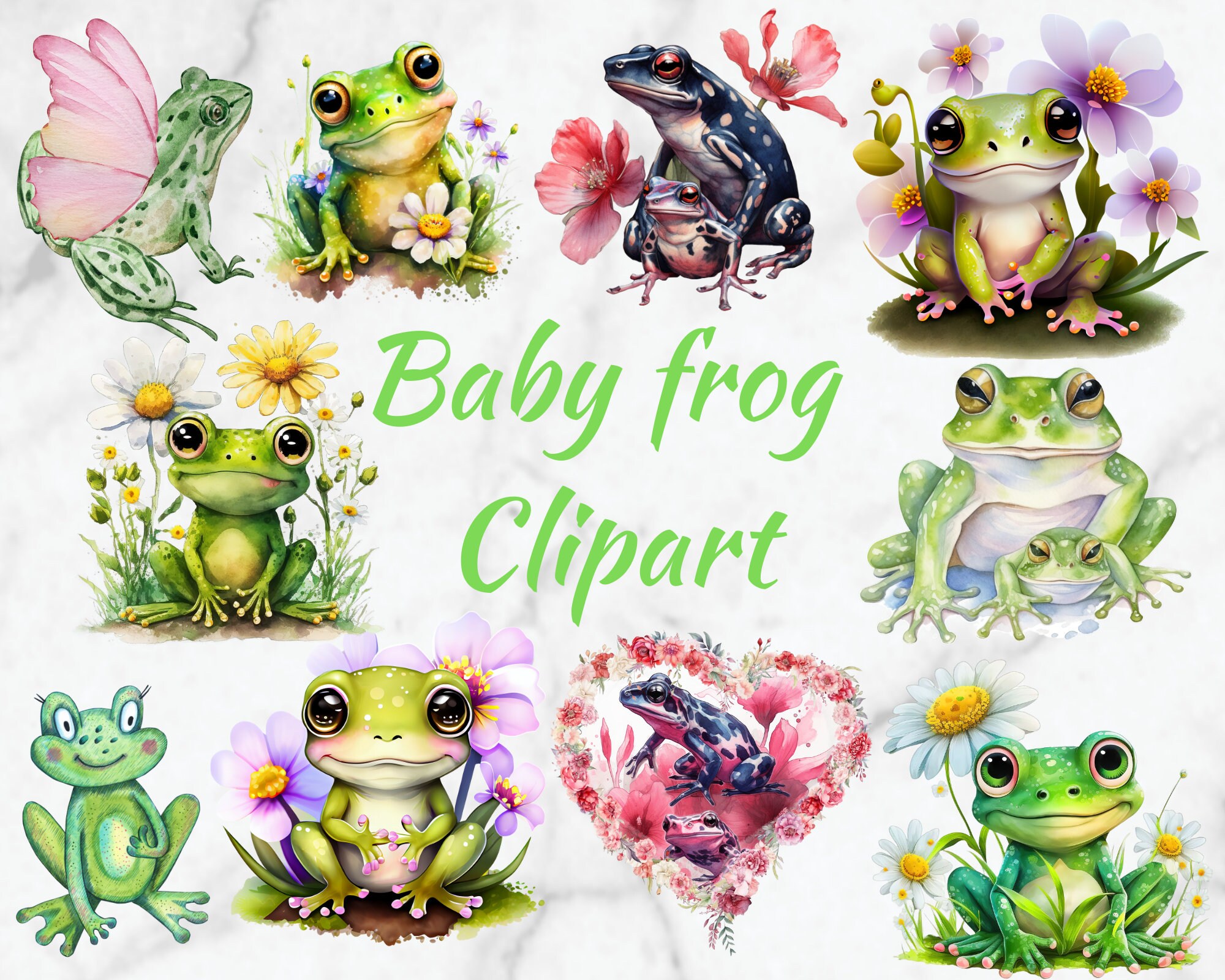 Baby Frog Clip Art
