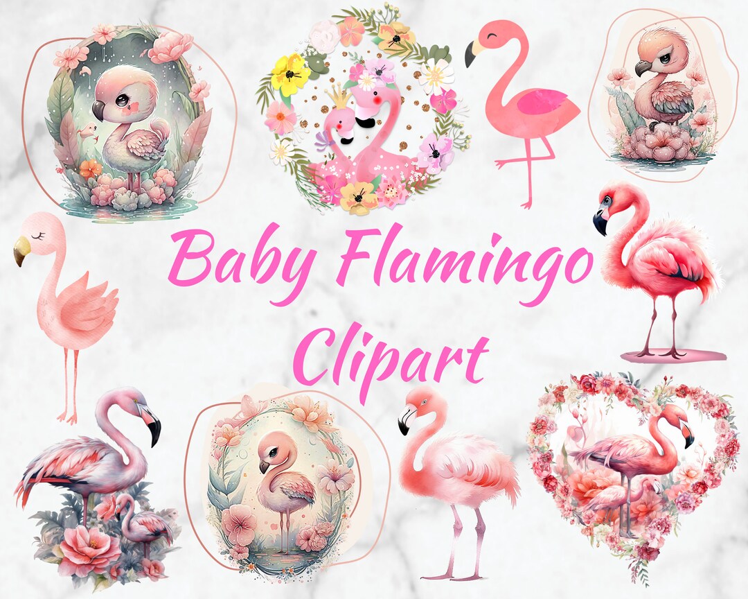 Baby Flamingo Animal Clipart,10x High Quality Png,watercolor Animal ...
