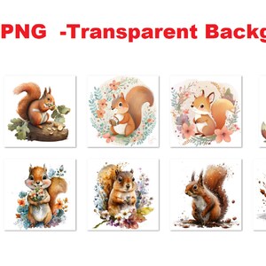 Squirrel Watercolor Clipart,watercolor Animals in Best Quality PNG ...