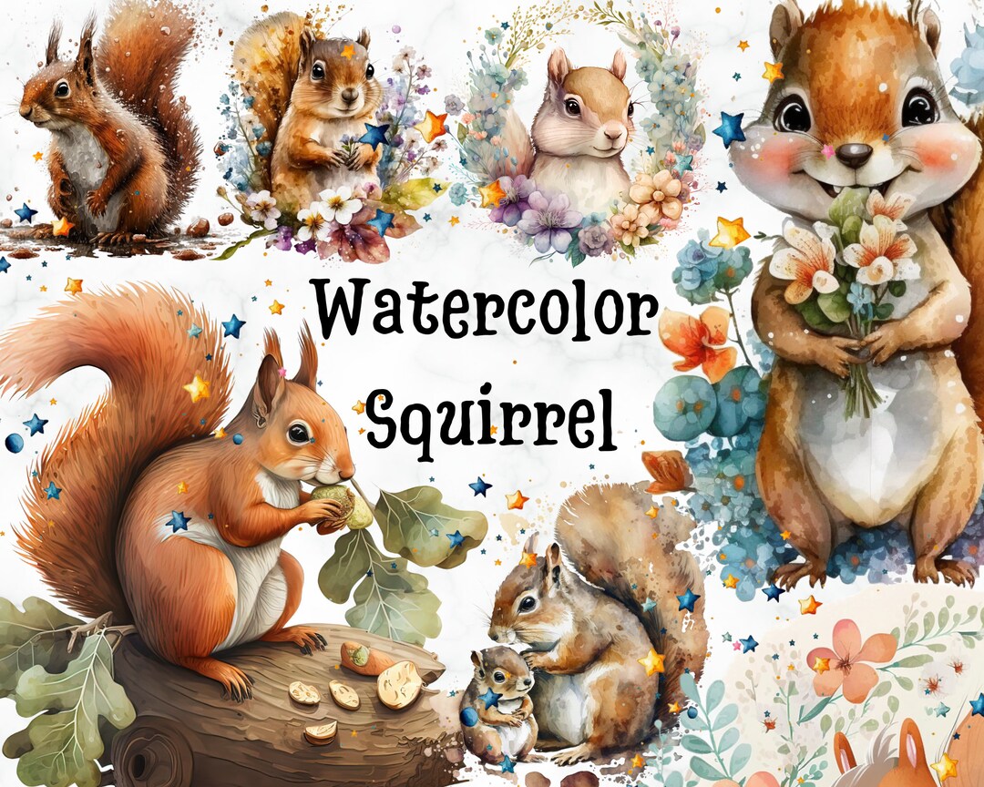 Squirrel Watercolor Clipart,watercolor Animals in Best Quality PNG ...