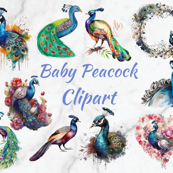 Peacock Clipart - Etsy
