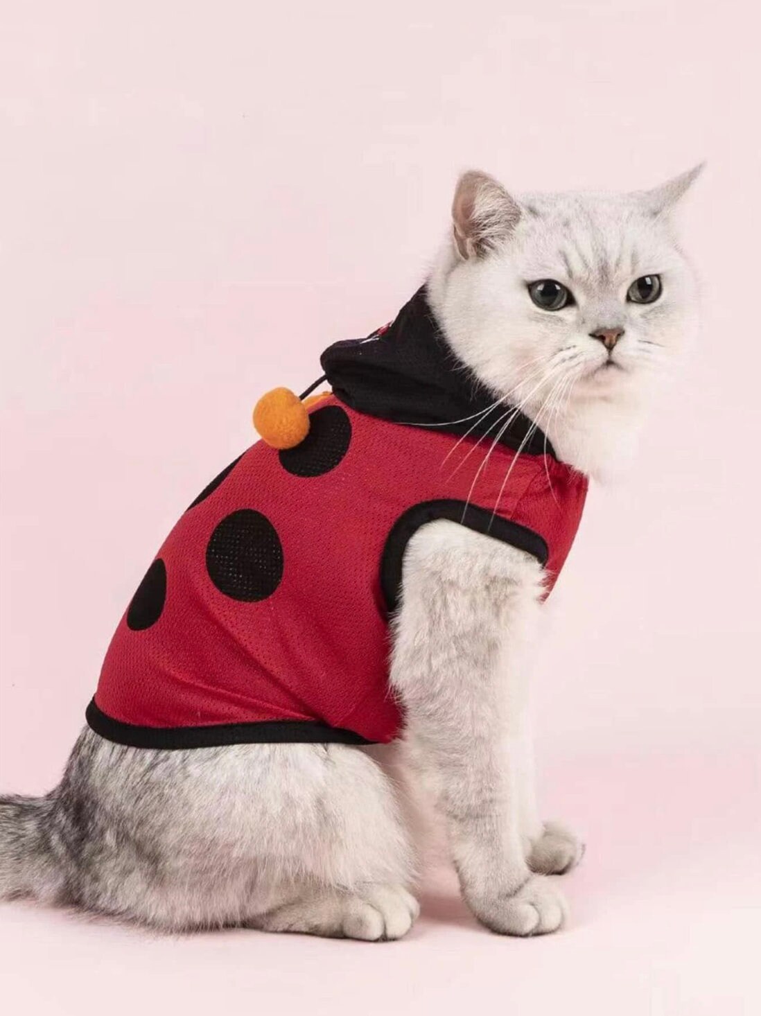 Ladybug Design Pet Costume Handmade Ladybug Dog Costume - Etsy