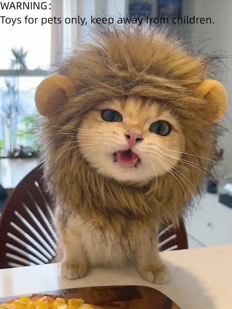 Cute Cat Lion Mane Costume,funny Pet Accessory,fancy Hair Cap Pet ...