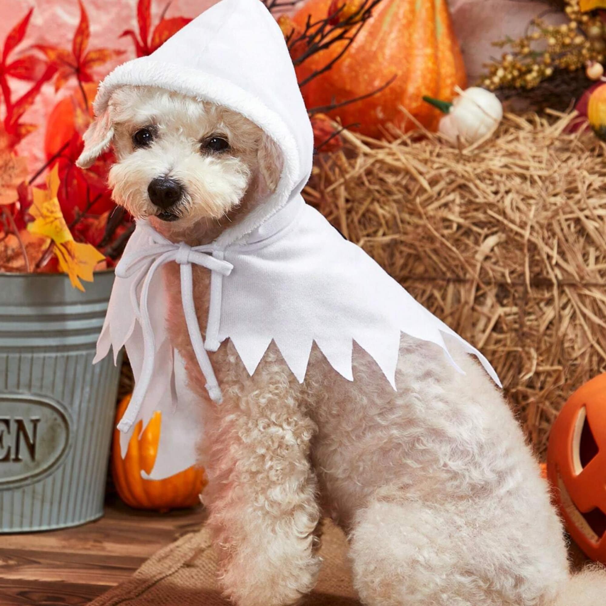 Ghost Dog Costume