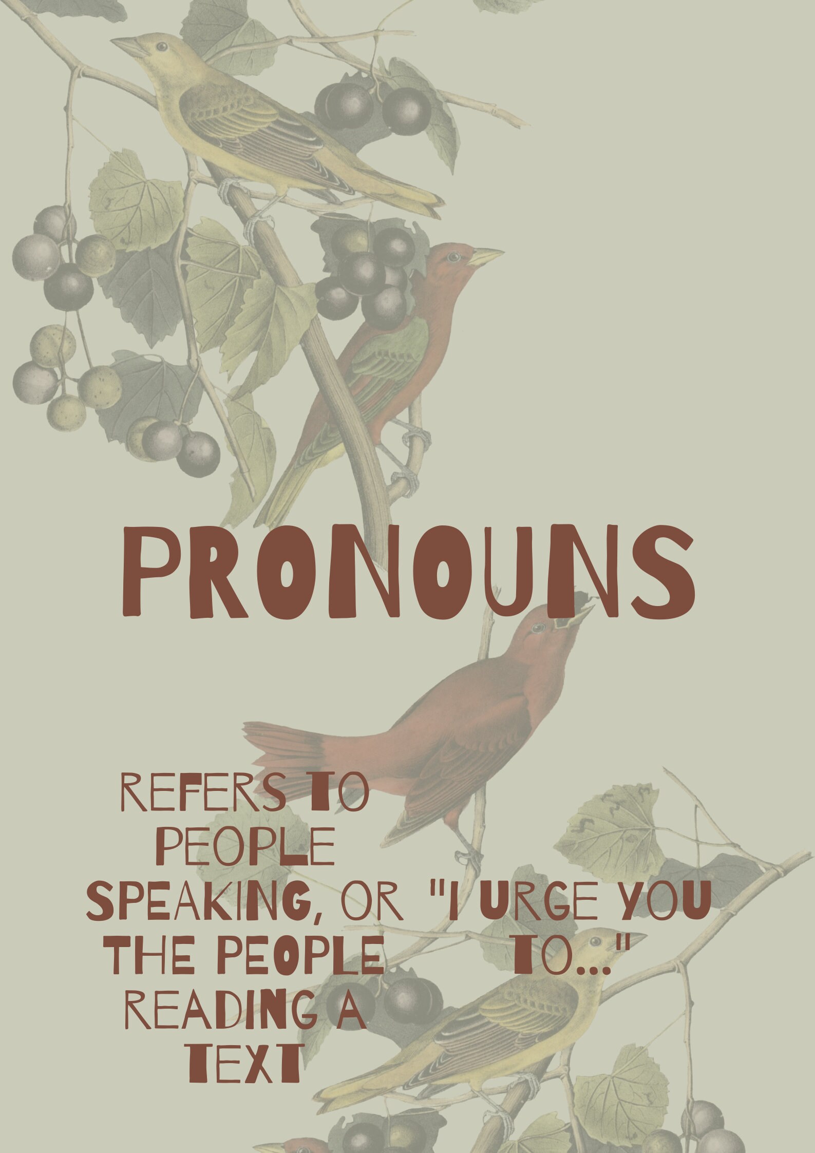 Persuasive Writing Techniques |IAMAFORESTCREEP BULLETIN DISPLAY ...