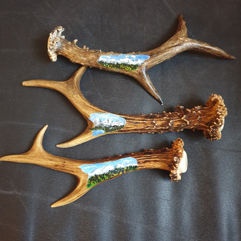 Engraved Antler Art - Etsy