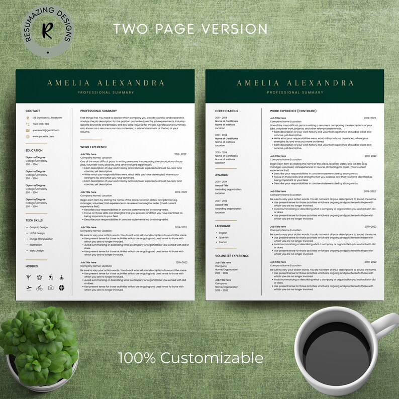 Resume Template, Google Docs Resume Template, Word Modern Executive ...