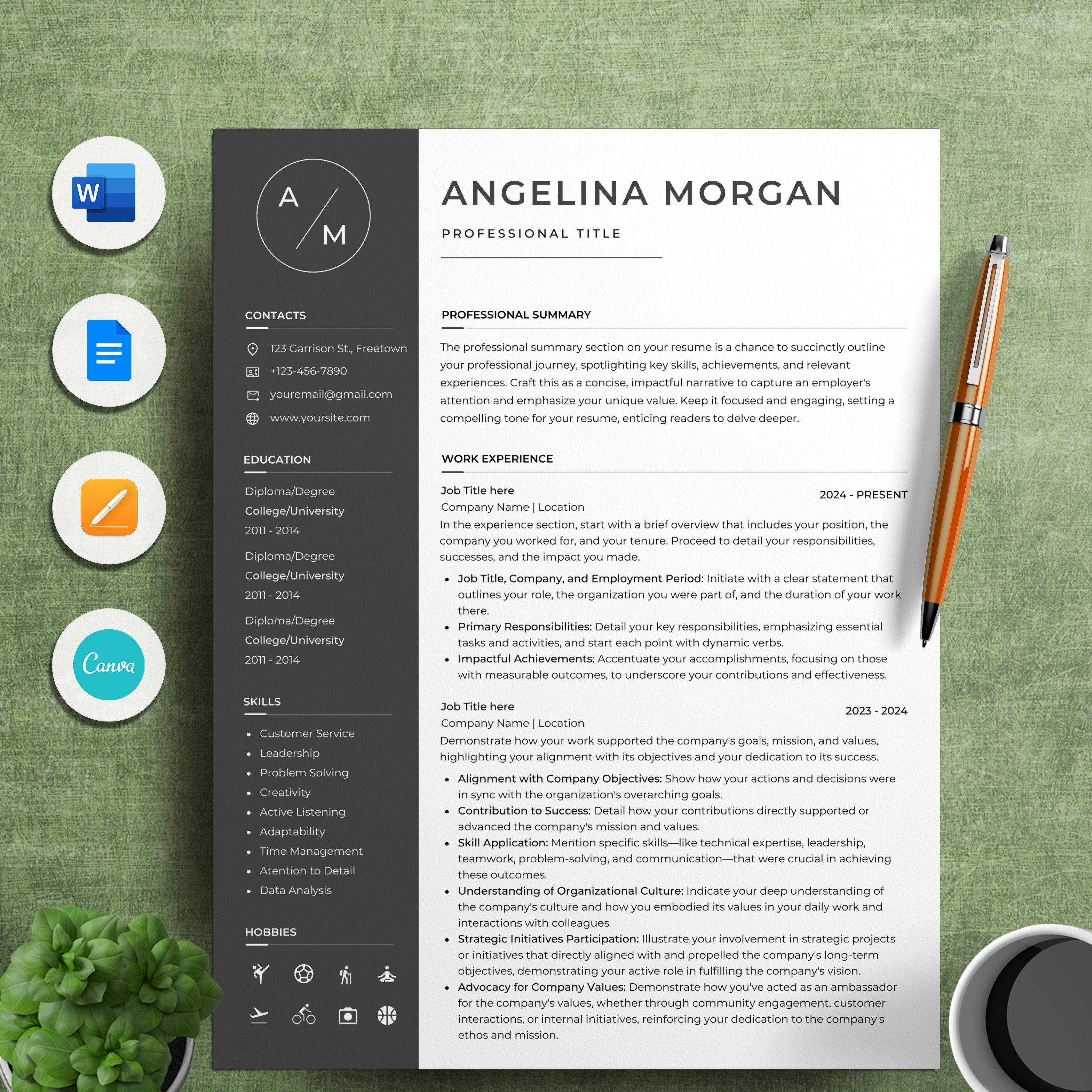 Resume Template, Google Docs Resume Template, Elegant Simple Resume ...