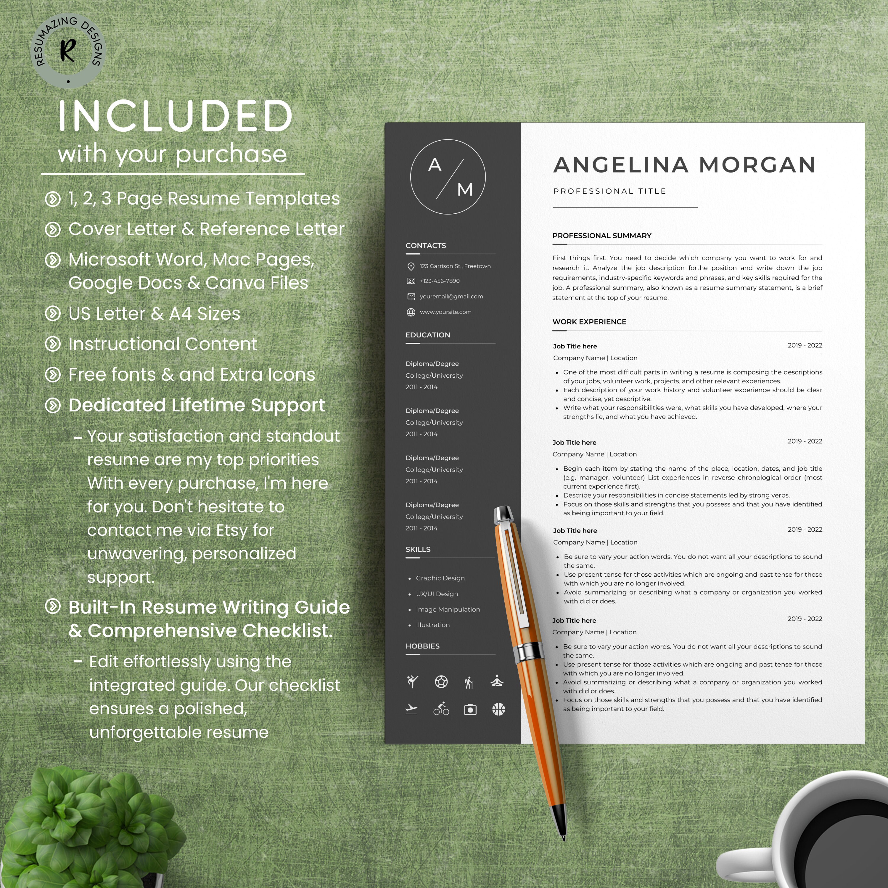 Resume Template, Google Docs Resume Template, Elegant Simple Resume ...