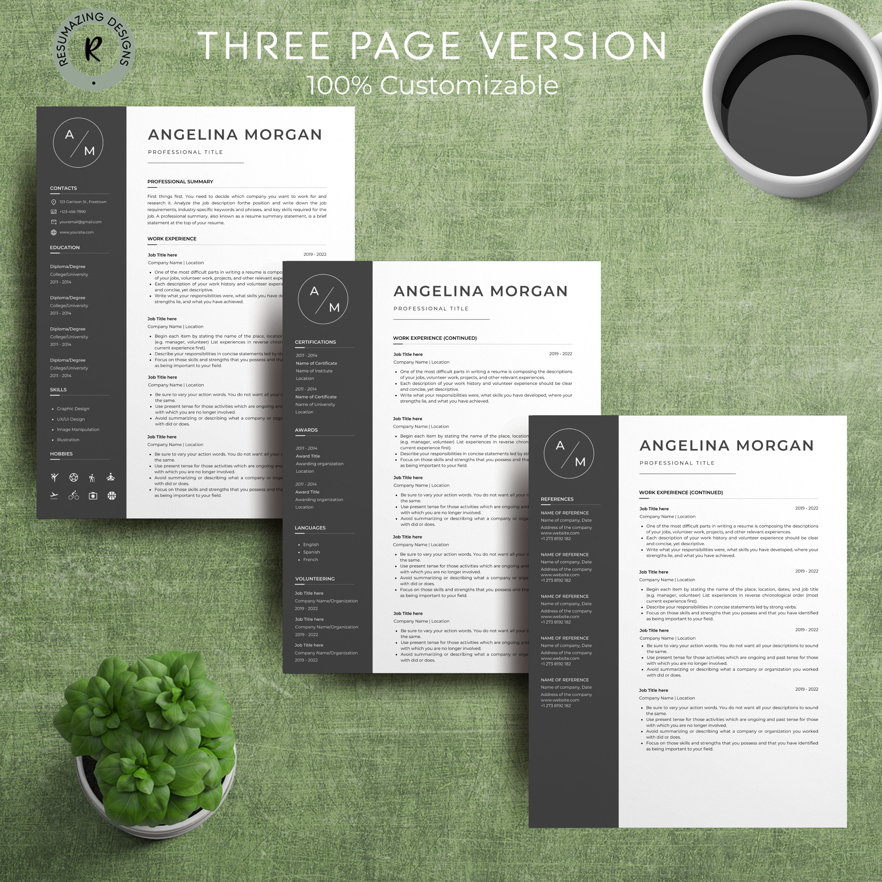 Resume Template, Google Docs Resume Template, Elegant Simple Resume ...