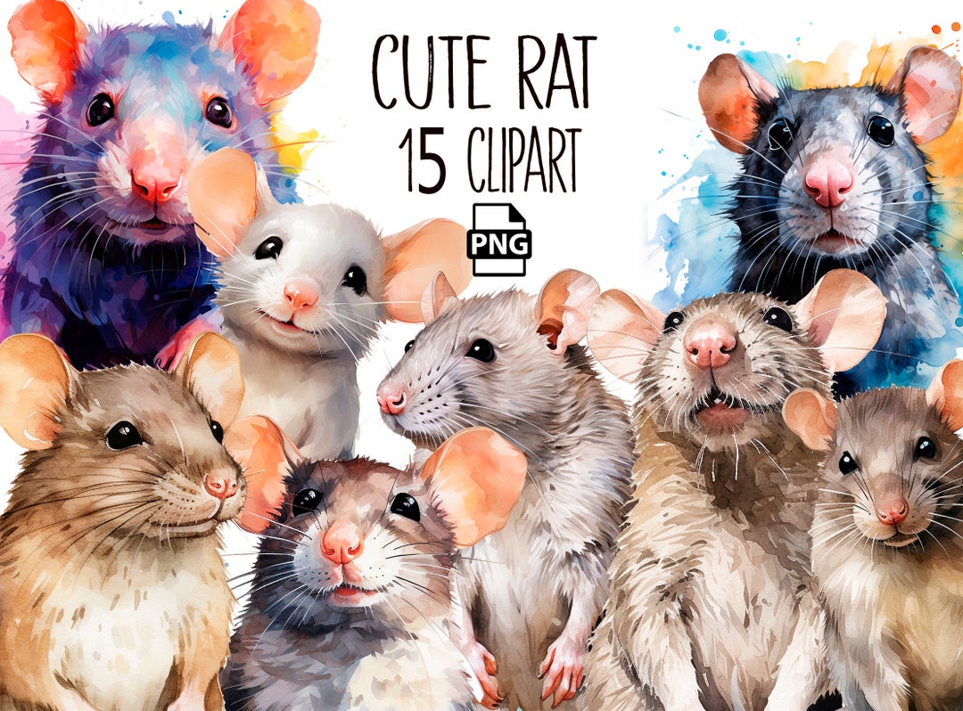 Watercolor Cute Rat Clipart Bundle, Rat Clipart, Cute Rat Clipart ...