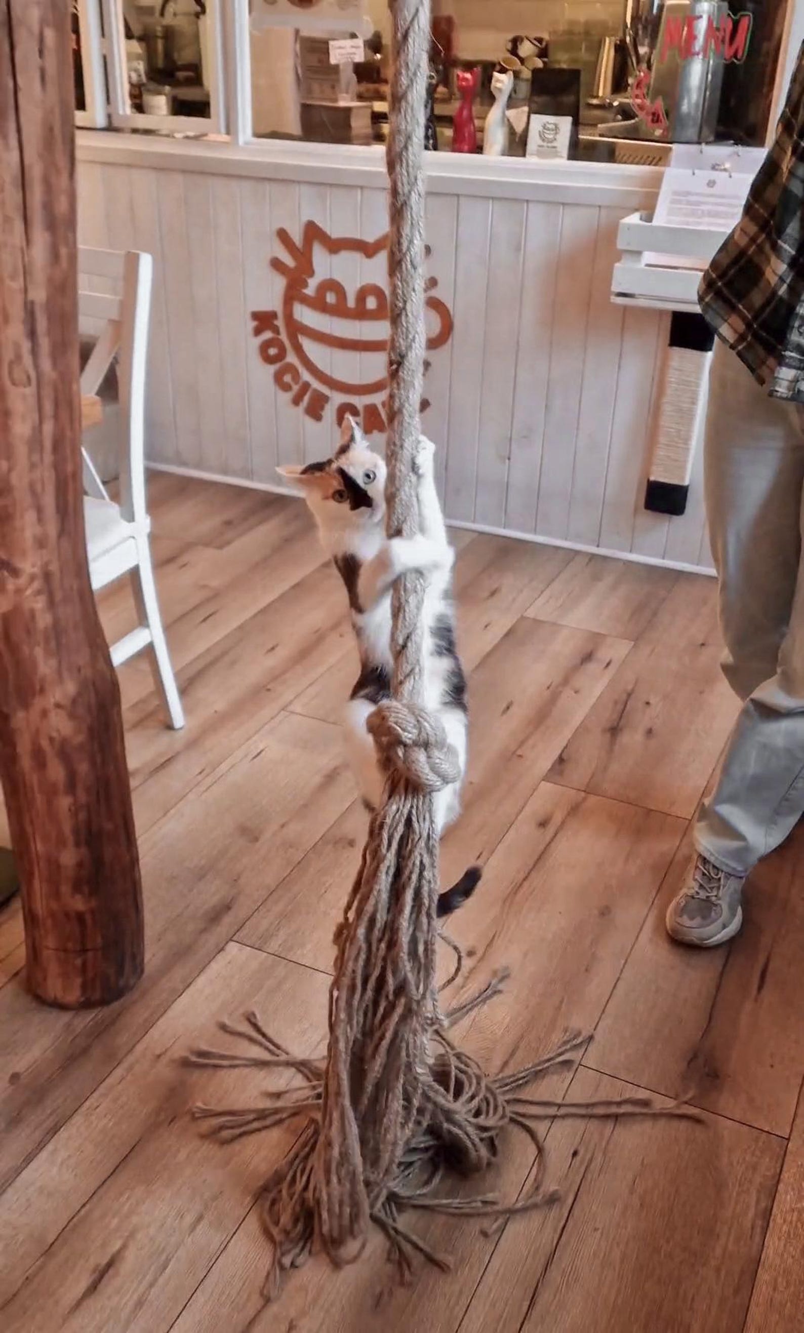 Jute Rope for Cats to Climb – WITHOUT MOUNTING, Jute Scratcher Cat Toy ...