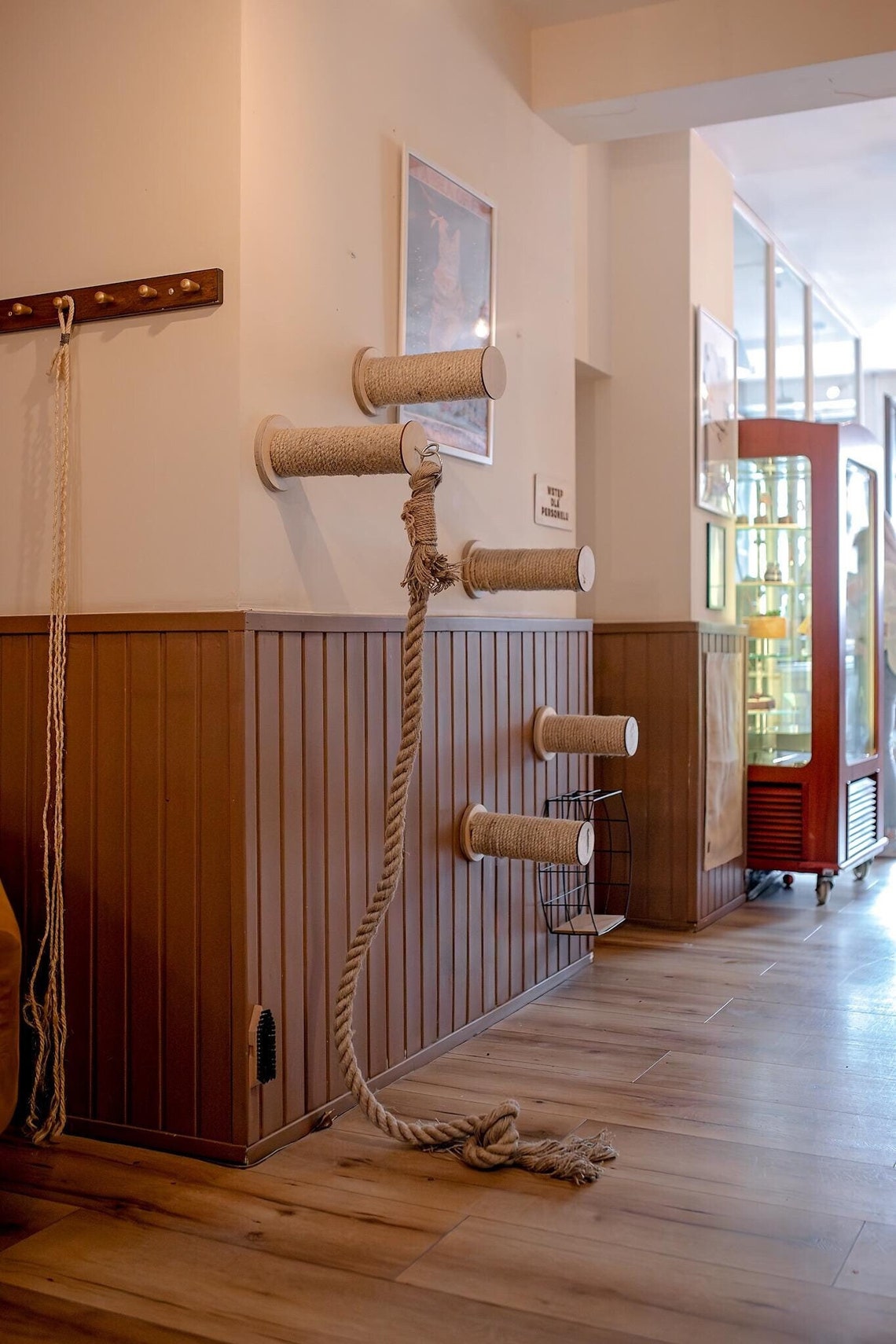 3 Elements Cat Wall for Climbing, Scratching Posts and Jute Rope. Cat ...