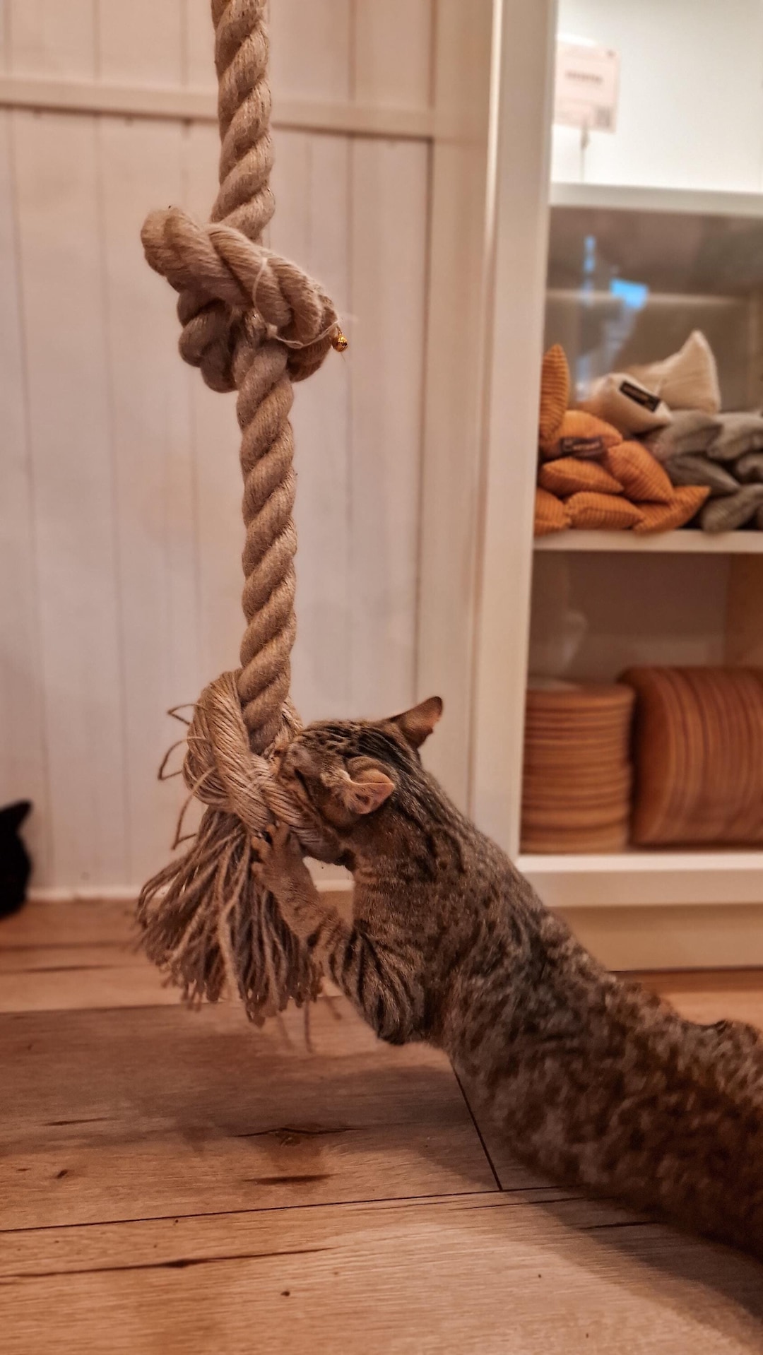 Jute Rope for Cats to Climb – WITHOUT MOUNTING, Jute Scratcher Cat Toy ...