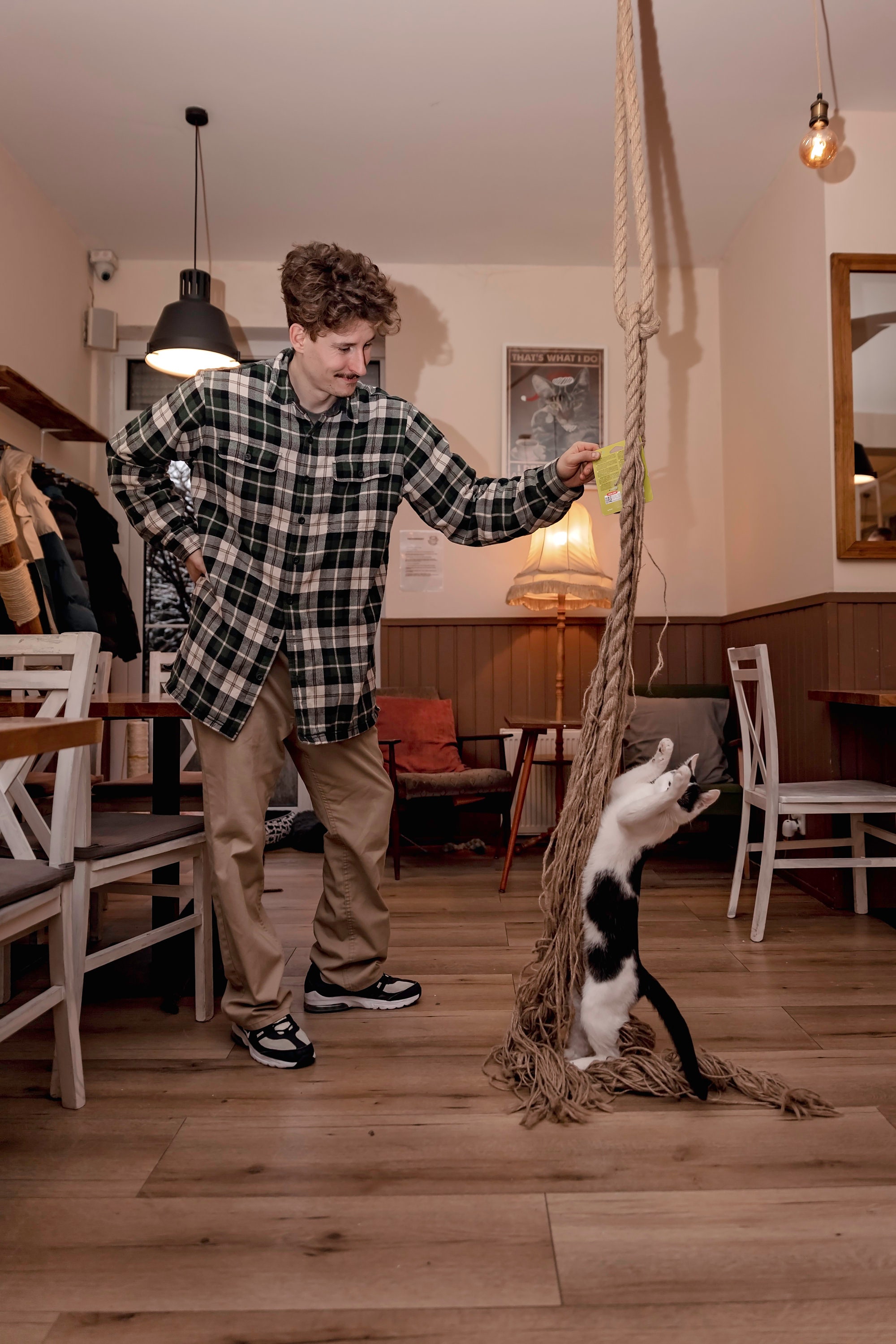 Jute Rope for Cat Ceiling-mounted Climbing Jute Rope - Etsy