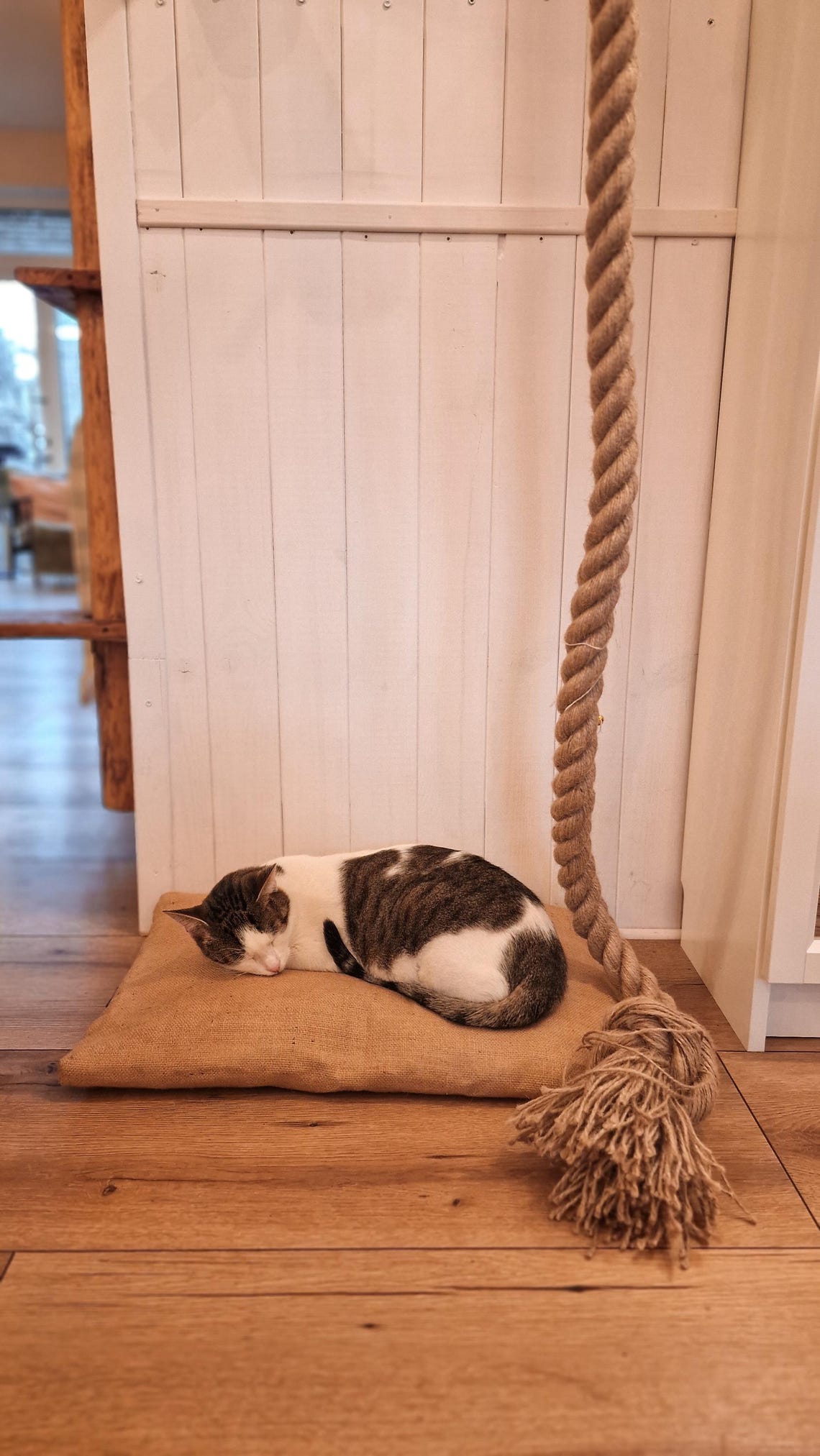 Jute Rope for Cats to Climb – WITHOUT MOUNTING, Jute Scratcher Cat Toy ...