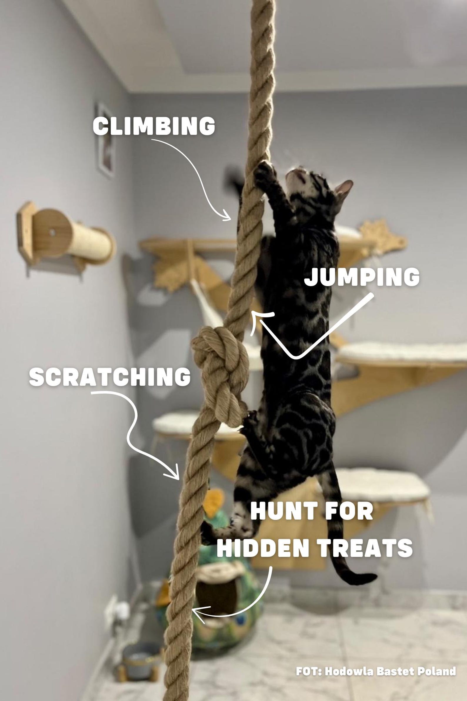 Jute Rope for Cats to Climb – WITHOUT MOUNTING, Jute Scratcher Cat Toy ...
