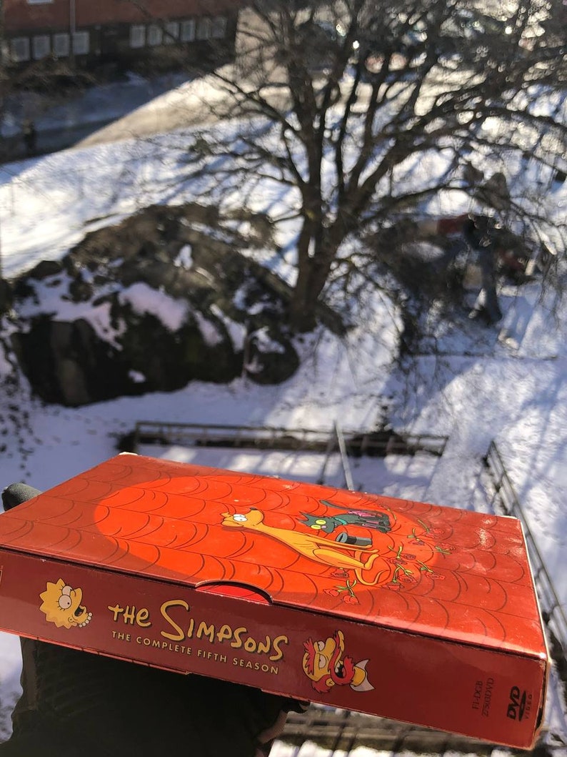 The Simpsons Complete Fifth Season Collector's Edition - Etsy