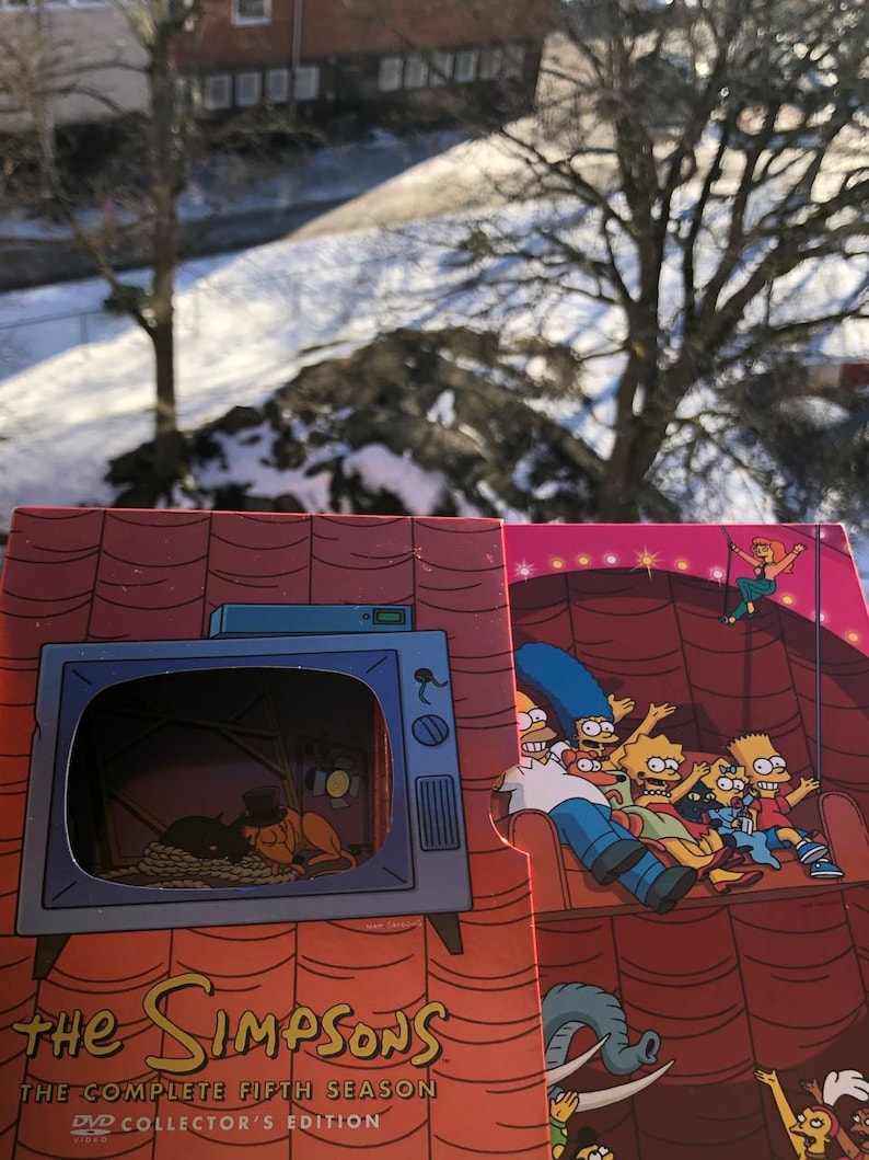 The Simpsons Complete Fifth Season Collector's Edition - Etsy