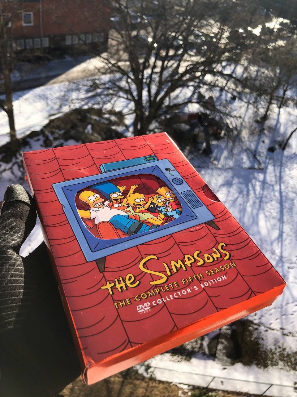 The Simpsons Complete Fifth Season Collector's Edition - Etsy