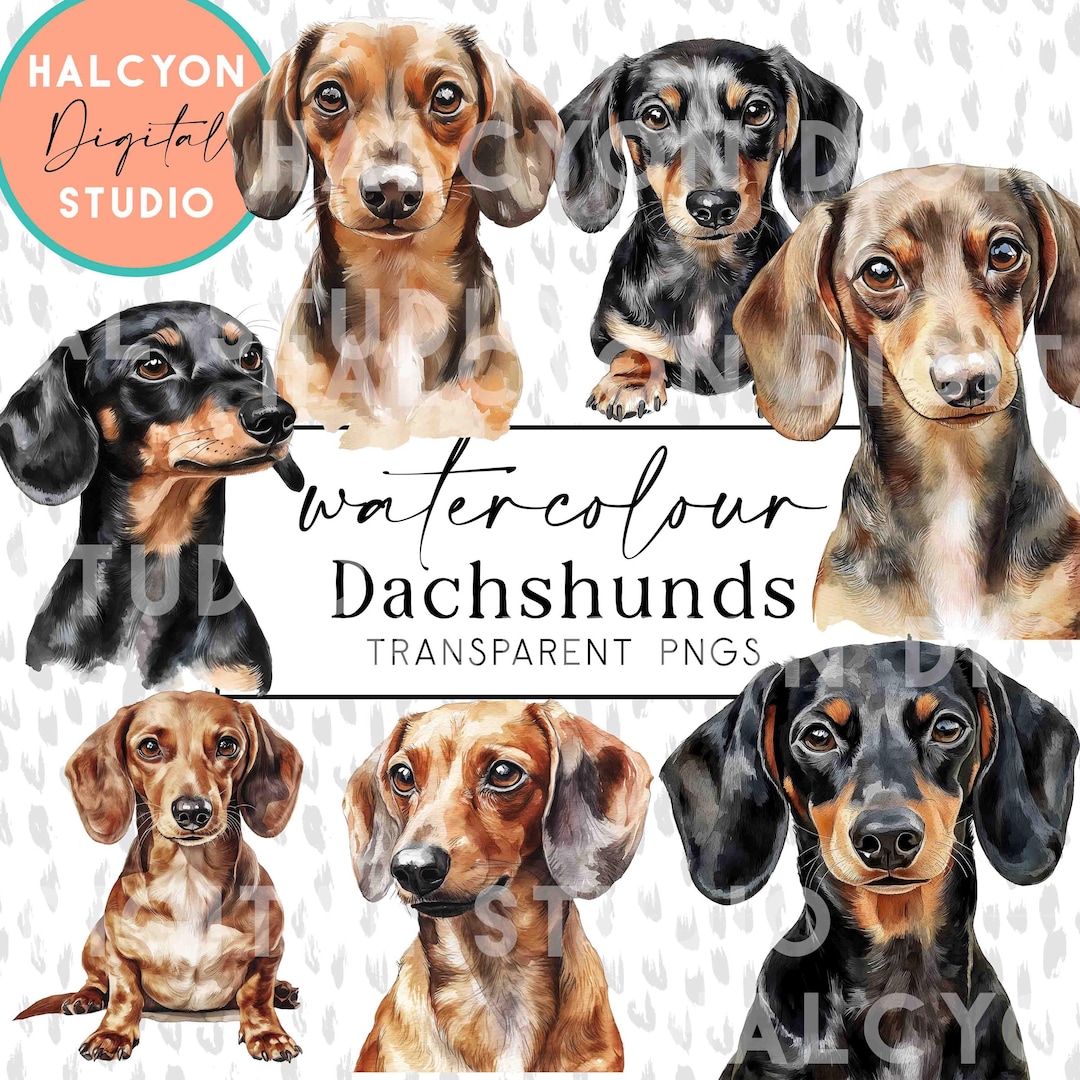 Watercolor Dachshund Clipart Set | Instant Download | Watercolour ...