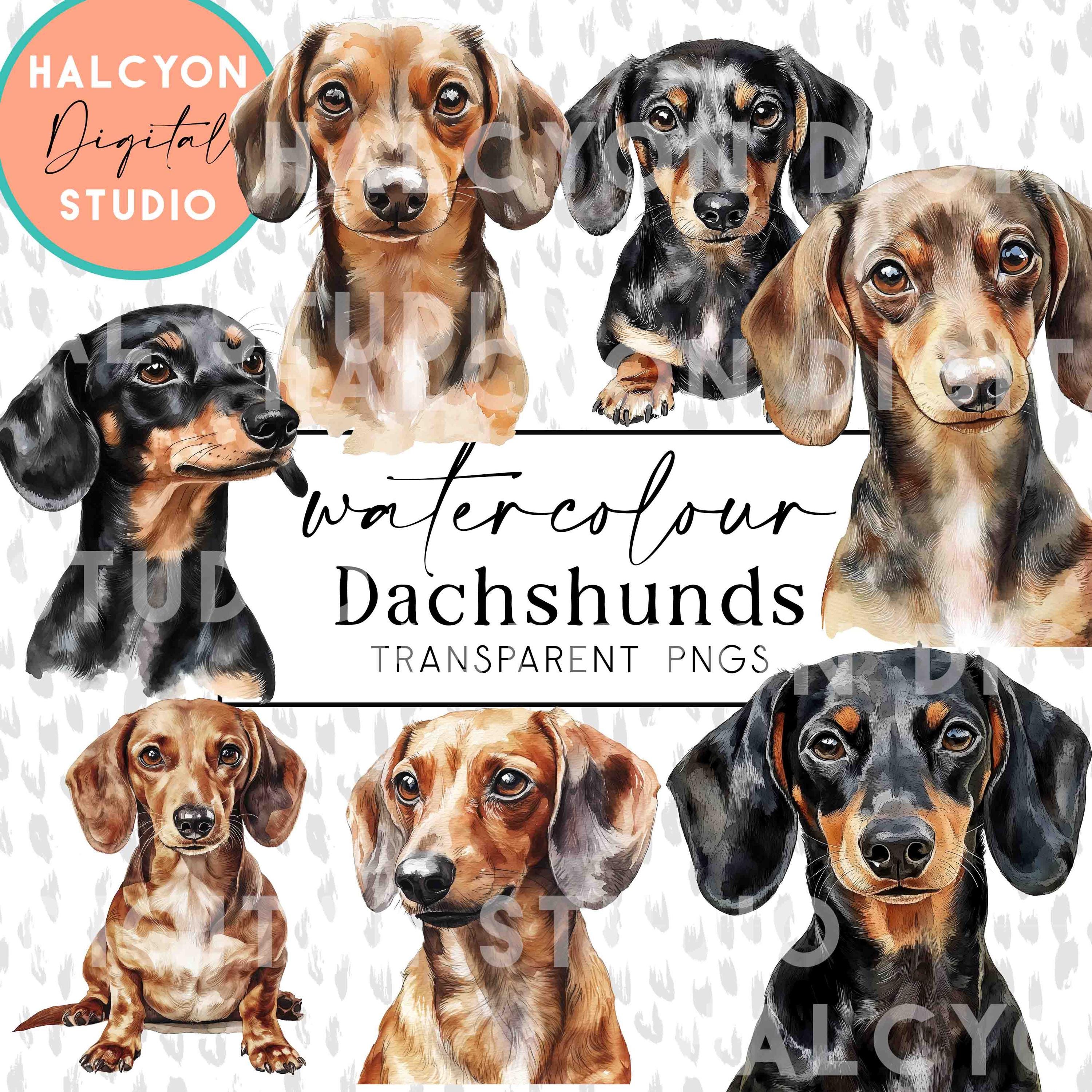 Watercolor Dachshund Clipart Set | Instant Download | Watercolour ...
