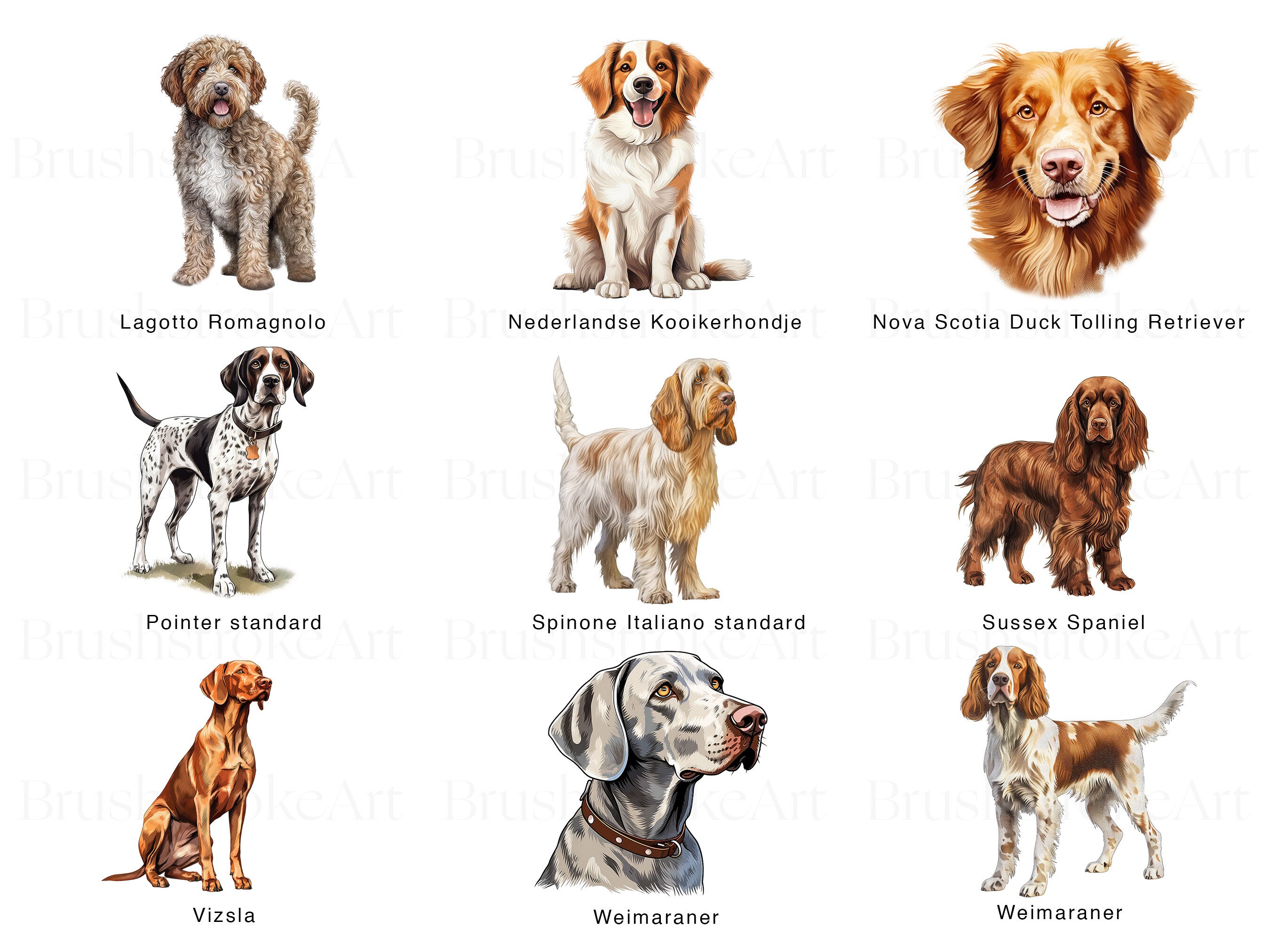 Vibrant Sporting Dogs Watercolour Clipart High-quality Digital ...