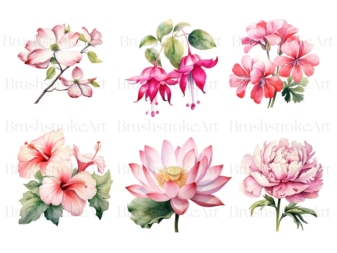 Pink Flower Clipart Pack: Watercolor Floral PNG Images for - Etsy