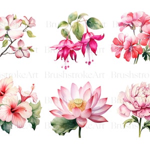 Pink Flower Clipart Pack: Watercolor Floral PNG Images for - Etsy