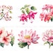 Pink Flower Clipart Pack: Watercolor Floral PNG Images for - Etsy