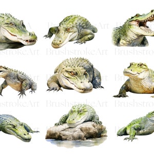 Watercolor Crocodile Clipart, Reptile, Underwater Animal PNG, Alligator ...