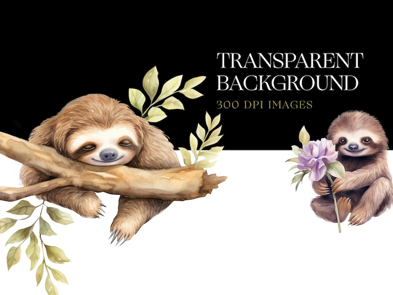 Watercolor Sloth Clipart, Cute Hanging Sloth PNG, Sleeping Sloth T ...