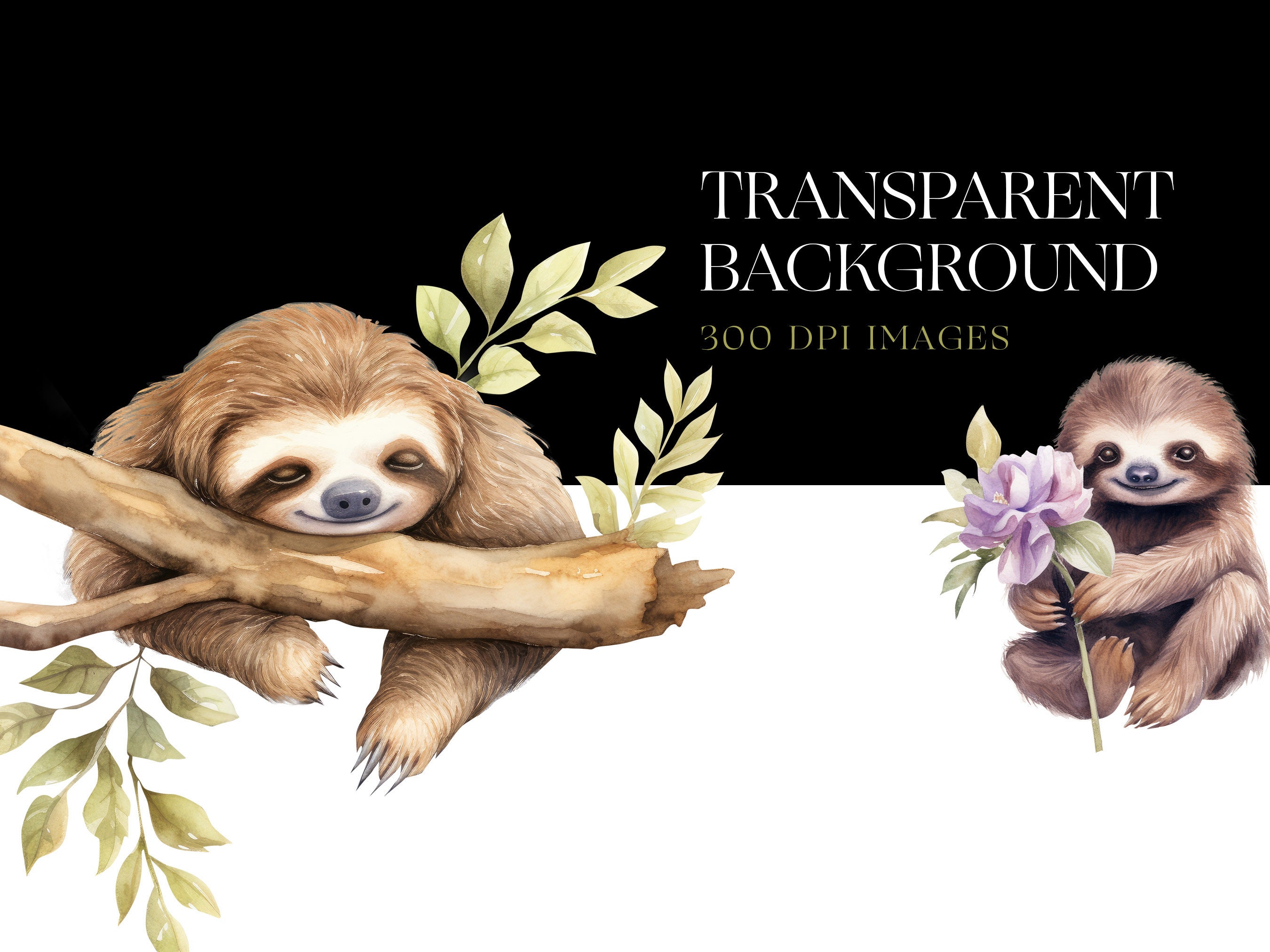 Watercolor Sloth Clipart, Cute Hanging Sloth PNG, Sleeping Sloth T ...