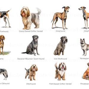Hound Group Dogs Clipart Collection - 37 Unique Watercolor ...