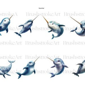Narwhal Clipart, Ocean Creature, Baby Narwhal, Under the Sea, Narwhal ...